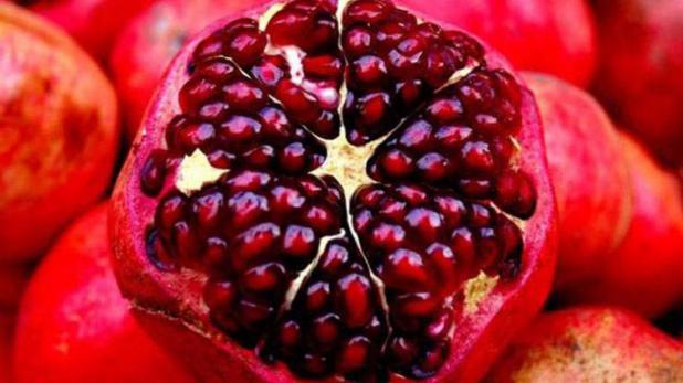 Kanpur Anar Hybrid 10 Plant - HITECH AGRI PLANT 7408570999